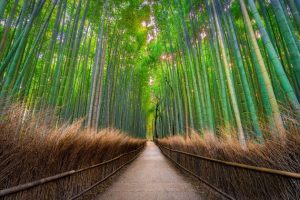 Top 9 Unusual Beautiful Places in Japan That You Didn't Know Existed