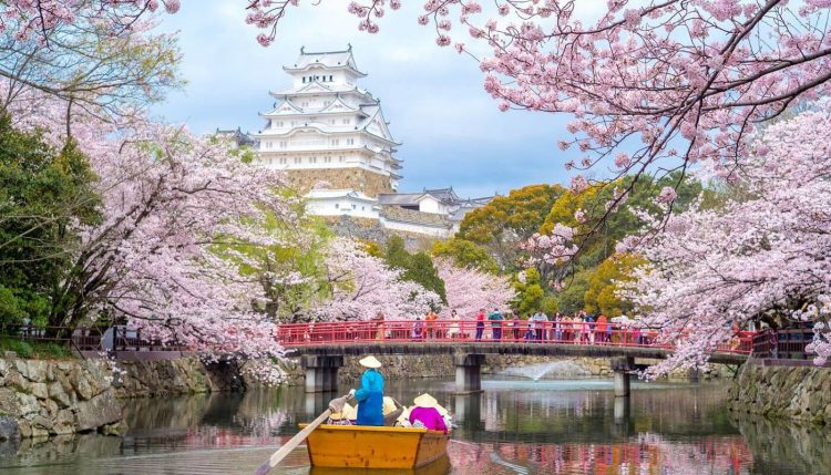 Japan Shore Excursions - Japan Tours & Day Trips from Cruise Ports