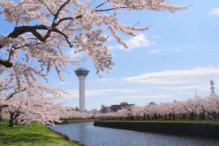 Japan Shore Excursions - Japan Tours & Day Trips from Cruise Ports