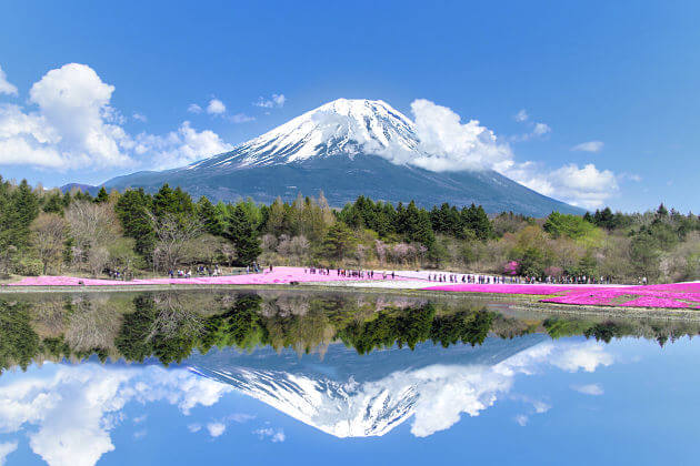 Mount Fuji & Hakone Sightseeing Tour - Japan Shore Excursions