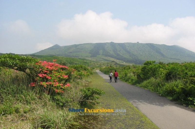 Top Islands in Japan to Visit| A Complete Shore Excursion Guide - Japan ...