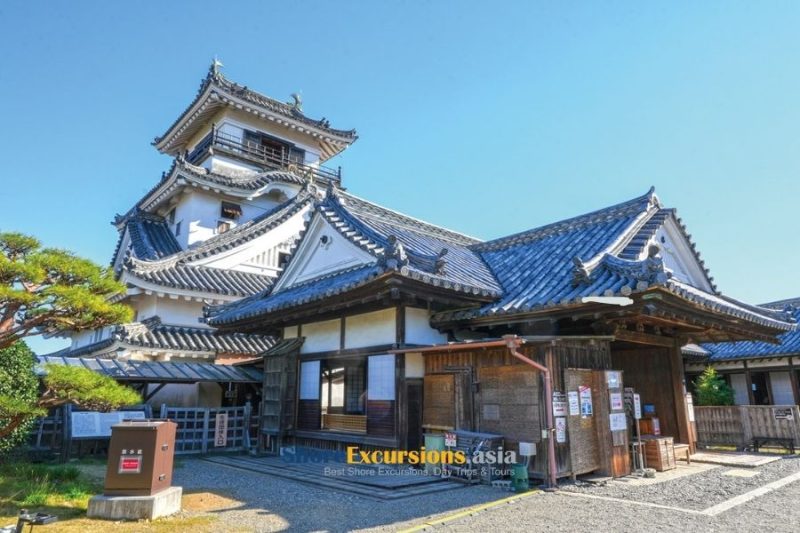 Kochi Japan Cruise Port Guide: Tips, Transport & Terminal Info