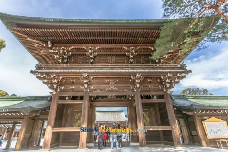 Tokyo Shore Excursions with Cultural & Scenic Highlights from Port