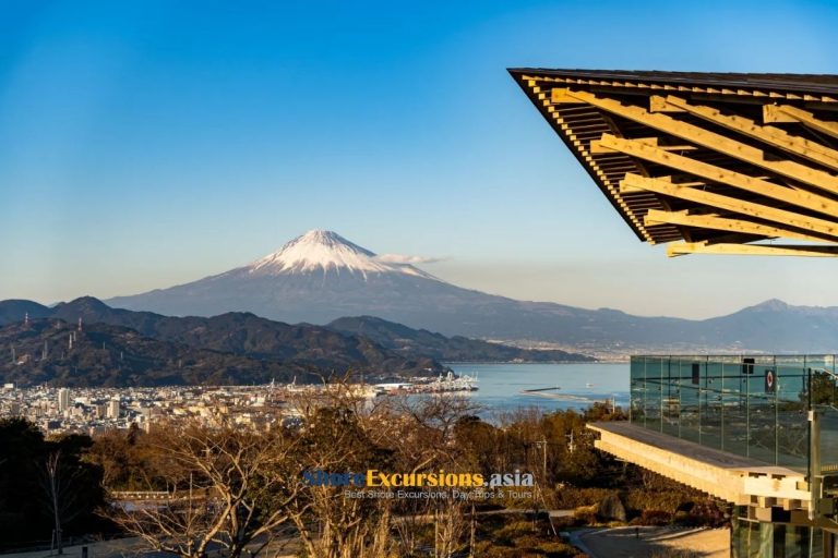 Mount Fuji Travel Guide for First-Time Visitors to Japan - Japan Shore ...