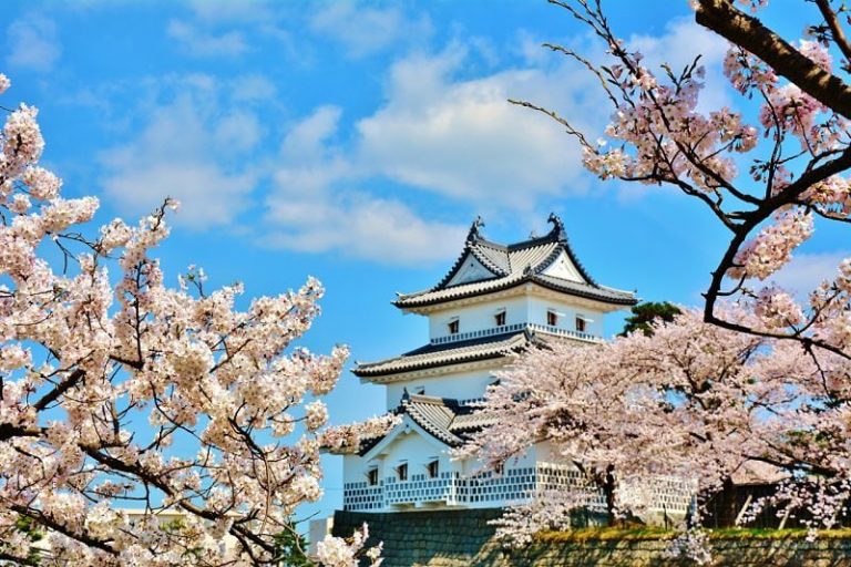 Niigata Historical Tour - Japan Shore Excursions