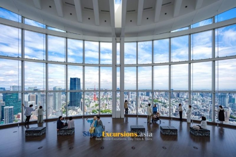 Tokyo Shore Excursions with Cultural & Scenic Highlights from Port