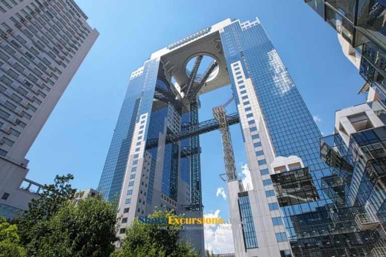 Best Osaka City Tour with Authentic Experience & Local Guide
